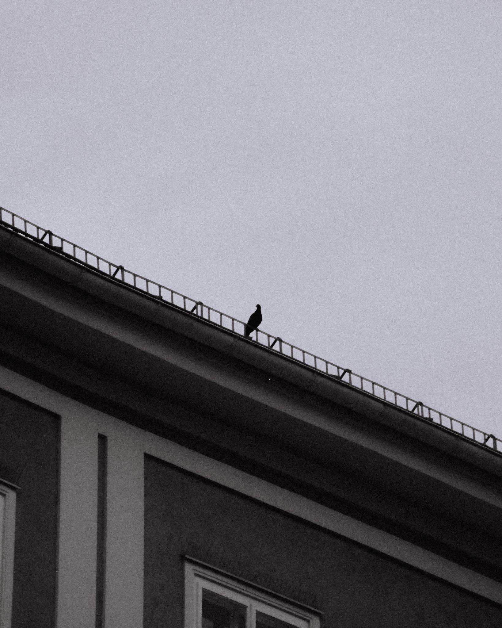 Home - Studio Agency - Noble Inspired